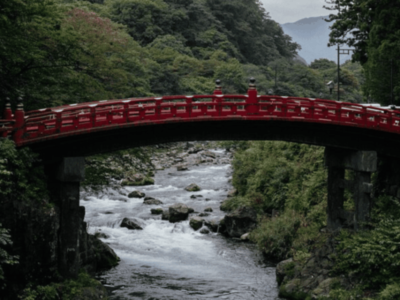 Tokyo: Nikko World Heritage Private Day Trip With Pickup - Explore the Toshogu Shrine
