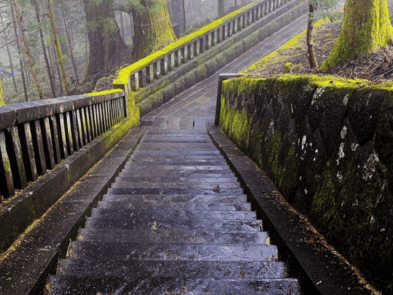 Tokyo: Nikko World Heritage Private Day Trip With Pickup - Discover the Shinkyo Bridge