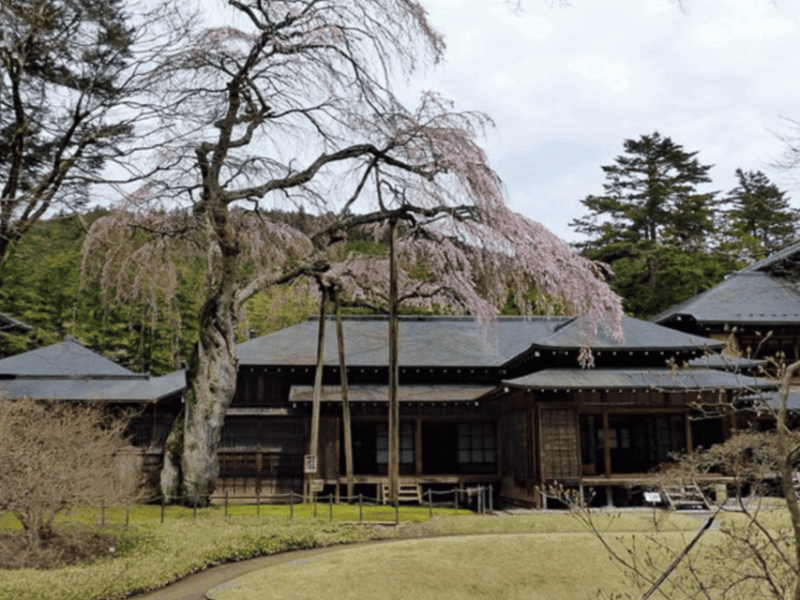 Tokyo: Nikko World Heritage Private Day Trip With Pickup - Frequently Asked Questions
