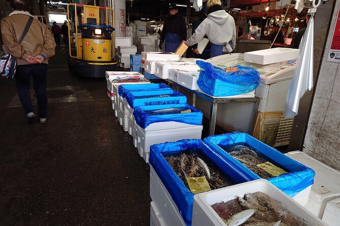 Tokyo Non-Touristy Local Private E-Bike Cycling Tour From Asakusa - Tour Reviews and Safety Checks