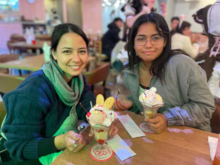 Tokyo: Nostalgic Anime and Retro Gaming in Akihabara - Enchanting Hour at a Maid Cafe