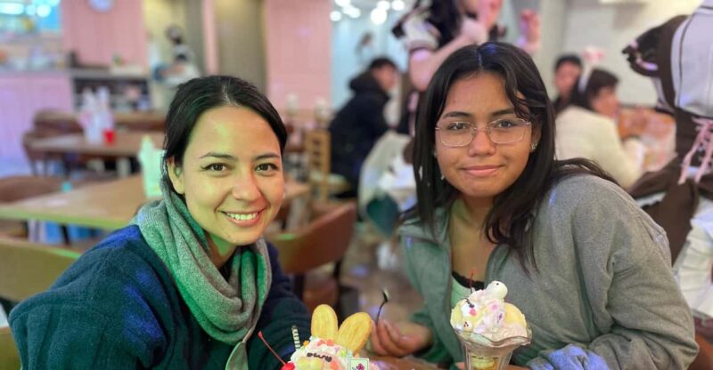 Tokyo: Nostalgic Anime and Retro Gaming in Akihabara - Group Engagement and Lasting Memories