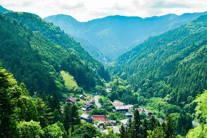 Tokyo Okutama Day Trip Tour - Meeting and Pickup Information