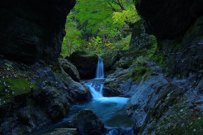 Tokyo Okutama Day Trip Tour - Important Guidelines