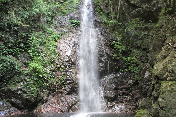 Tokyo Okutama Day Trip Tour - Souvenir and Safety Information