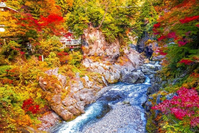 Tokyo Okutama Day Trip Tour - Preparing for Your Adventure