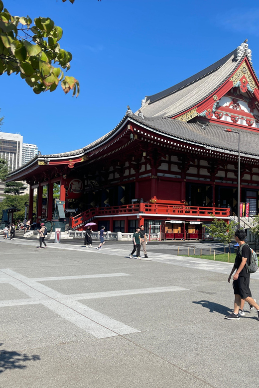 Tokyo One Day Private Tour With English Speaking Driver - Customizing Your Tour