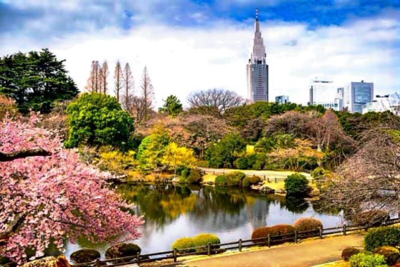 Tokyo One Day Private Tour With English Speaking Driver - Itinerary Highlights