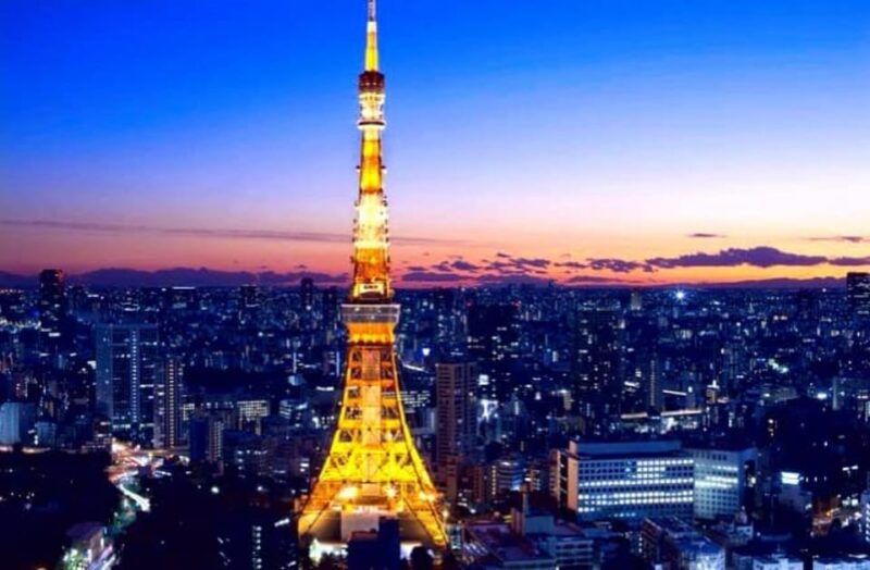 Tokyo One Day Private Tour With English Speaking Driver - Customized Tour Options