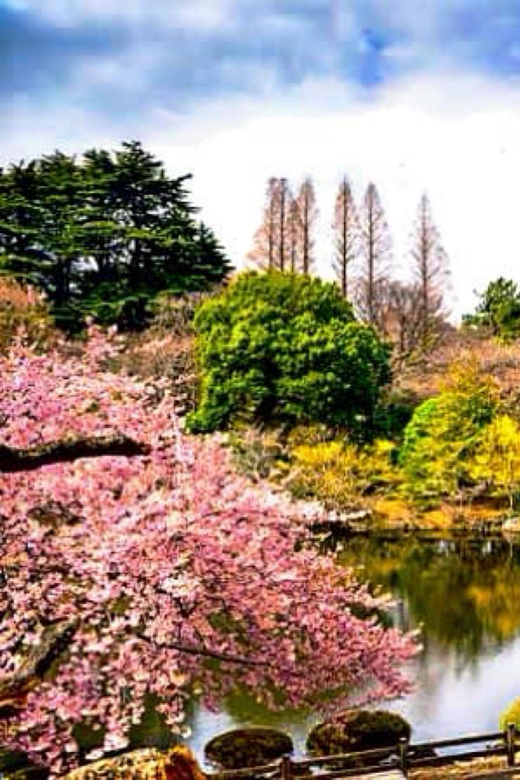 Tokyo One Day Private Tour With English Speaking Driver - Private Group Experience