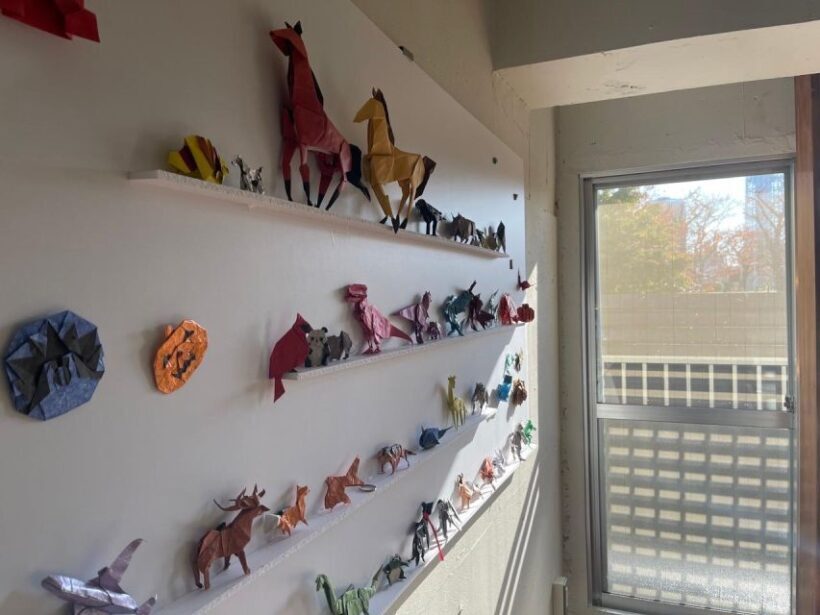 Tokyo: Origami Fun for Families & Beginners in Asakusa - Who Will Love This Experience?