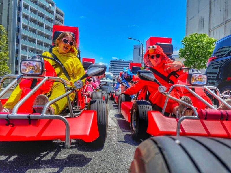 Tokyo: Original Street Kart Experience From Tokyo Bay - Driving on Tokyos Streets