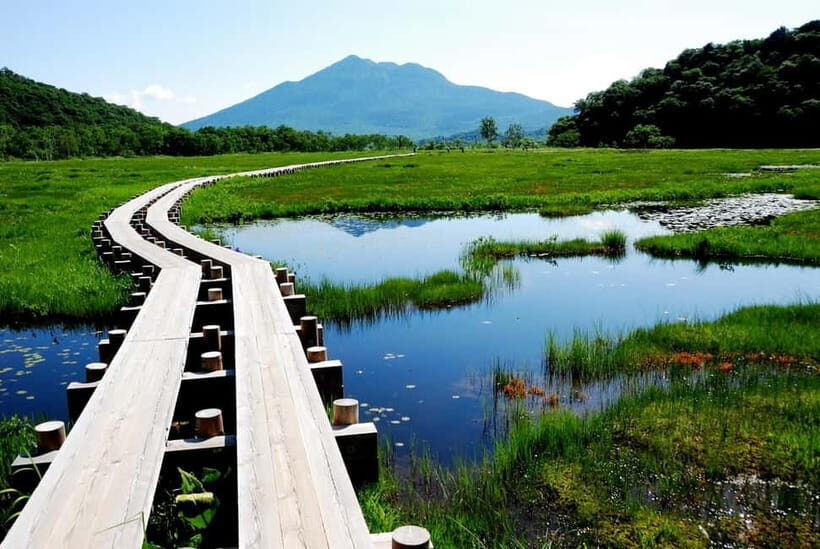 Tokyo: Oze Marshland Hiking Day Trip via Hatomachi Pass - Key Points