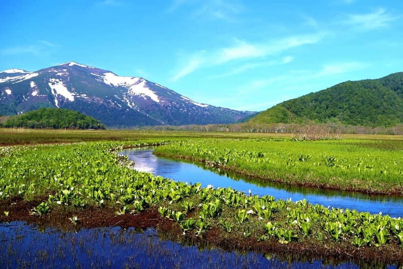 Tokyo: Oze Marshland Hiking Day Trip via Hatomachi Pass - An Honest Look at the Oze Marshland Day Trip