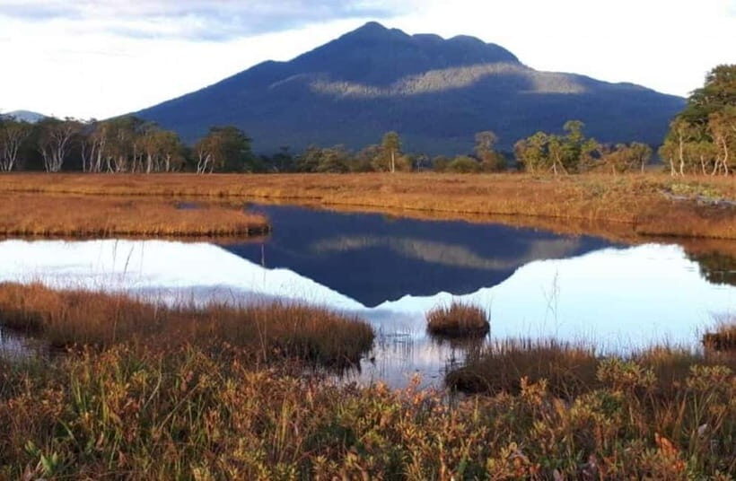 Tokyo: Oze Marshland Hiking Day Trip via Hatomachi Pass - Who Should Consider This Tour?