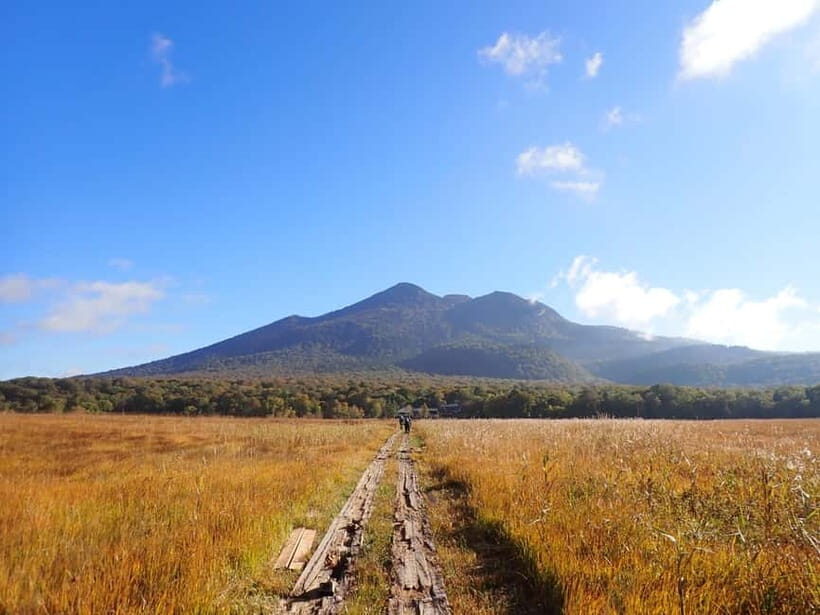 Tokyo: Oze National Park Self-Guided Hike with Overnight Bus - Key Points