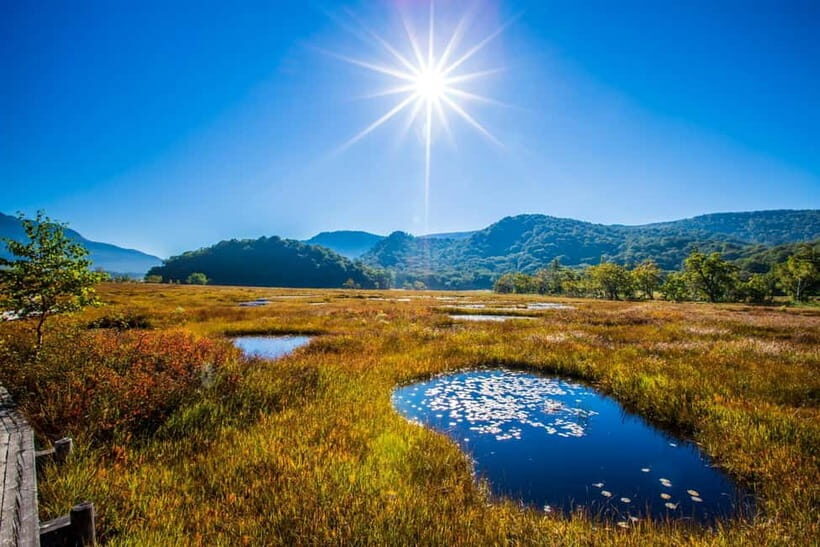 Tokyo: Oze National Park Self-Guided Hike with Overnight Bus - What to Expect on Your Hike