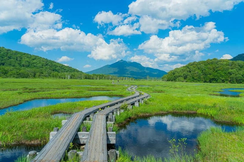 Tokyo: Oze National Park Self-Guided Hike with Overnight Bus - Who Will Love This Tour?