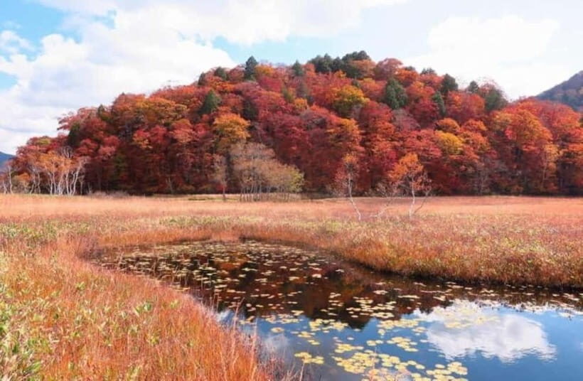 Tokyo: Oze National Park Self-Guided Hike with Overnight Bus - FAQ