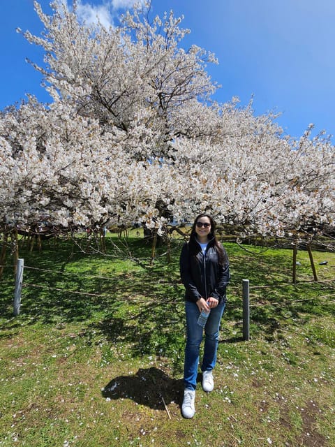 Tokyo: Personalized Half-day Tour - Flexible Itinerary