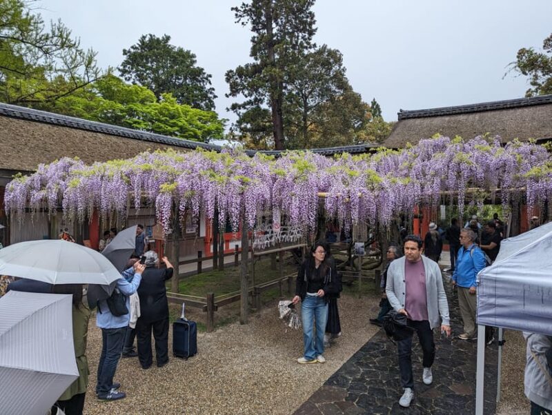 Tokyo: Personalized Half-day Tour - Exceptional Customer Service