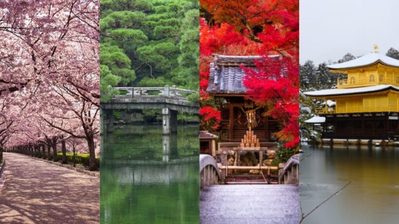 Tokyo : Private 3 hours Private Tour with a Local Guide - FAQ