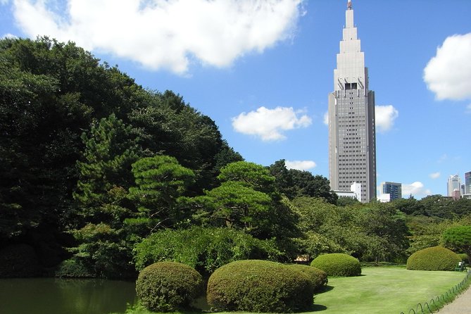 Tokyo Private Car Tour: Professional Guide and Driver/Optional Airport Xfer - Exploring Tokyos Iconic Sites