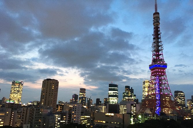 Tokyo Private Car Tour: Professional Guide and Driver/Optional Airport Xfer - Customization and Personalization