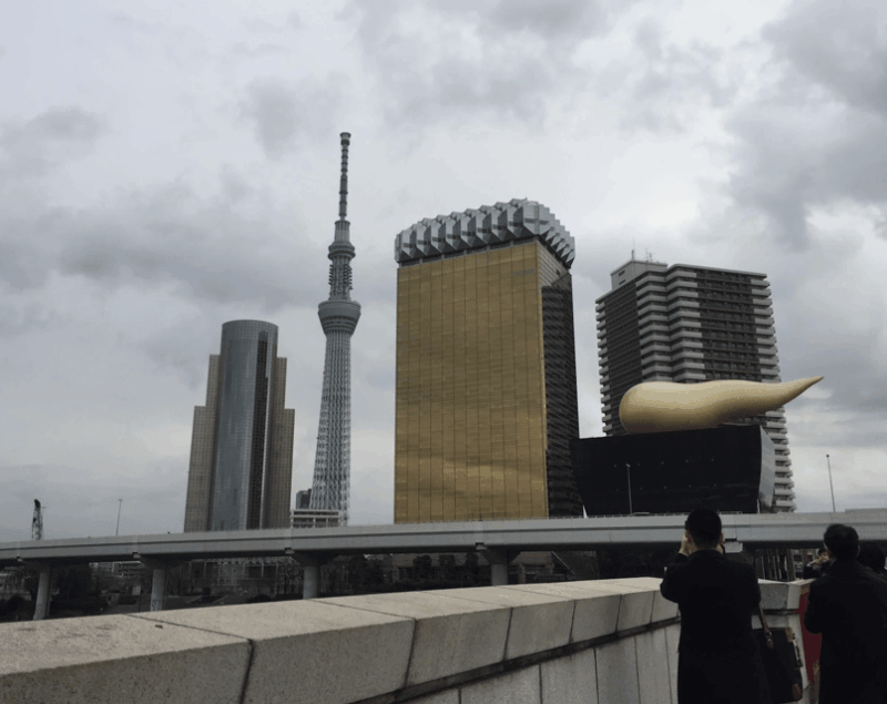 Tokyo: Private Car Tour With Mai - Tour Overview