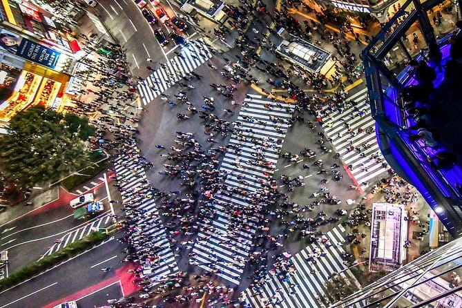 Tokyo Private Chauffeur Tour - Fully Guided - What Makes This Tour Stand Out?