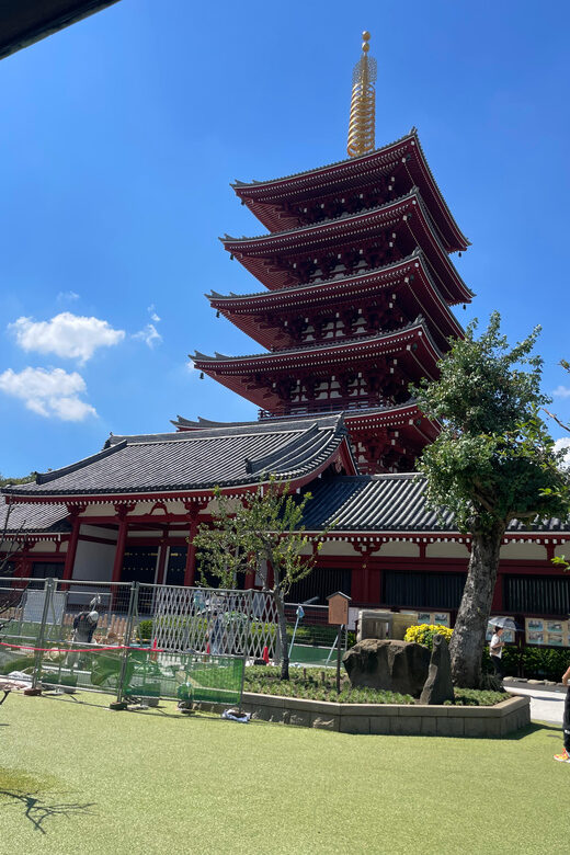 Tokyo: Private City Highlights Tour - Authentic Experiences and What Travelers Say