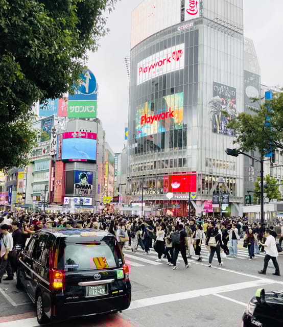 Tokyo: Private City Highlights Tour - Exploring Asakusa Shrine