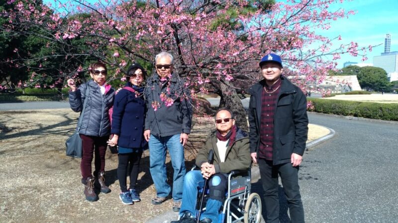 Tokyo: Private City Highlights Tour With Local Guide - Discovering Akihabara and Otaku Culture