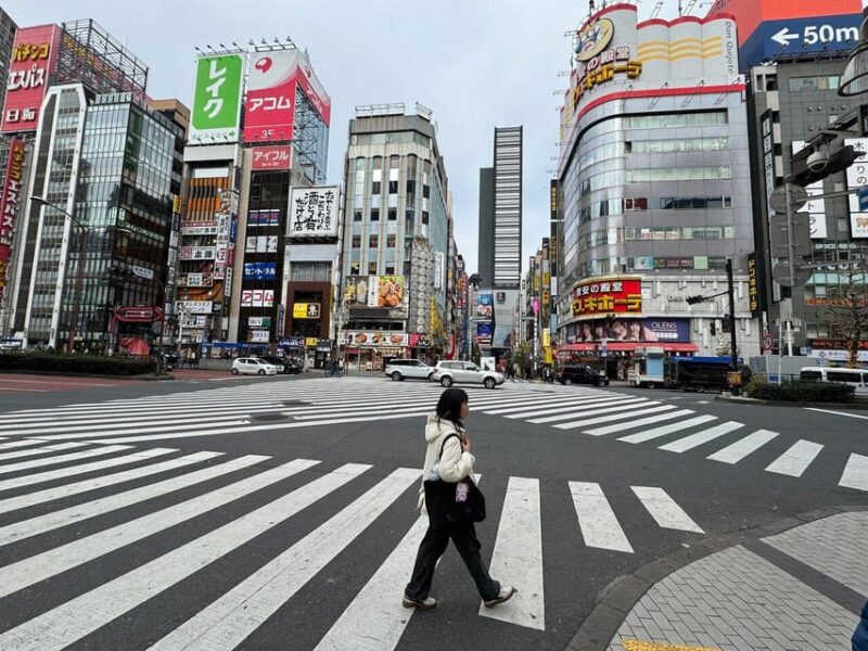 Tokyo Private Custom Car Tour With A Guide (Car Tour) - Languages