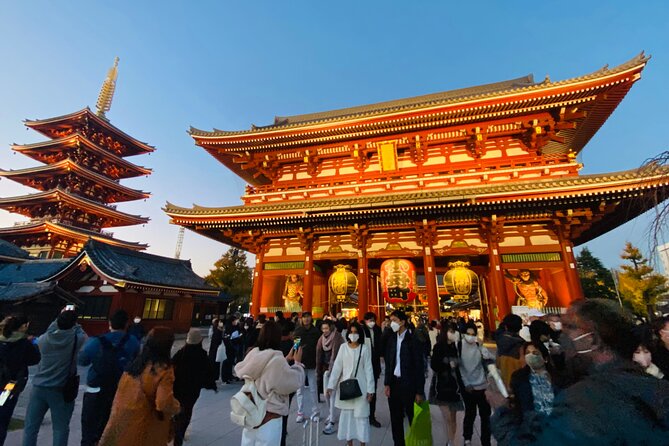 Tokyo Private Custom Day Tour With English Speaking Chauffeur - Inclusions