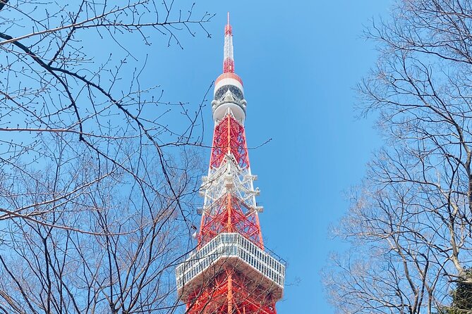 Tokyo Private Custom Day Tour With English Speaking Chauffeur - What to Expect on the Tour