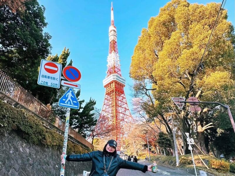 Tokyo: Private Custom Walking Tour With Local Guide - Experience Shibuya Crossing and Hachiko Statue