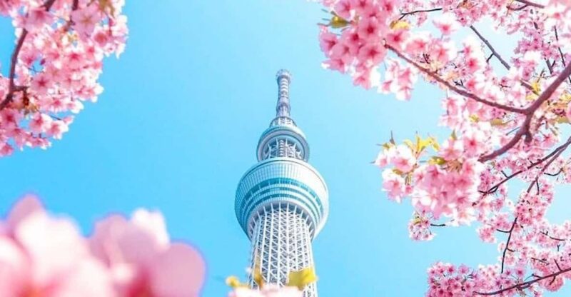 Tokyo Private Customizable Day Tour With a Guide - Key Points