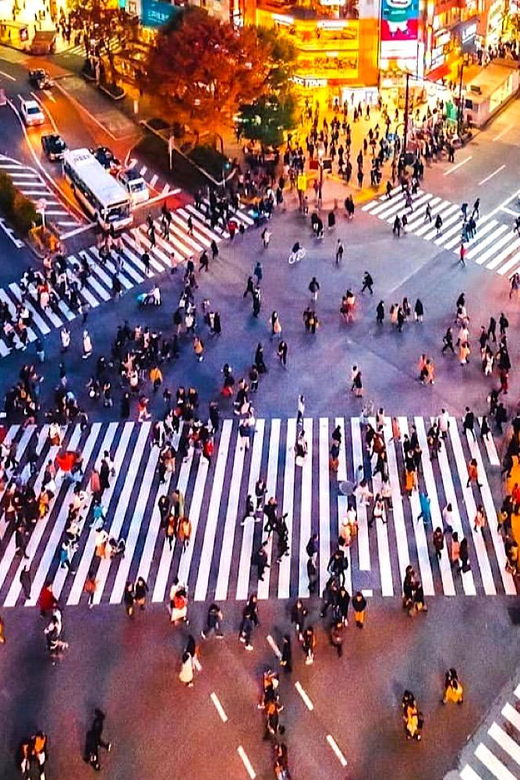 Tokyo Private Customizable Day Tour With a Guide - Booking Information