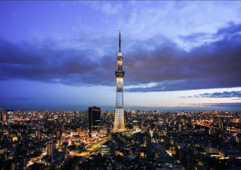 Tokyo: Private Customizable Day Tour With Chauffeur - Key Points