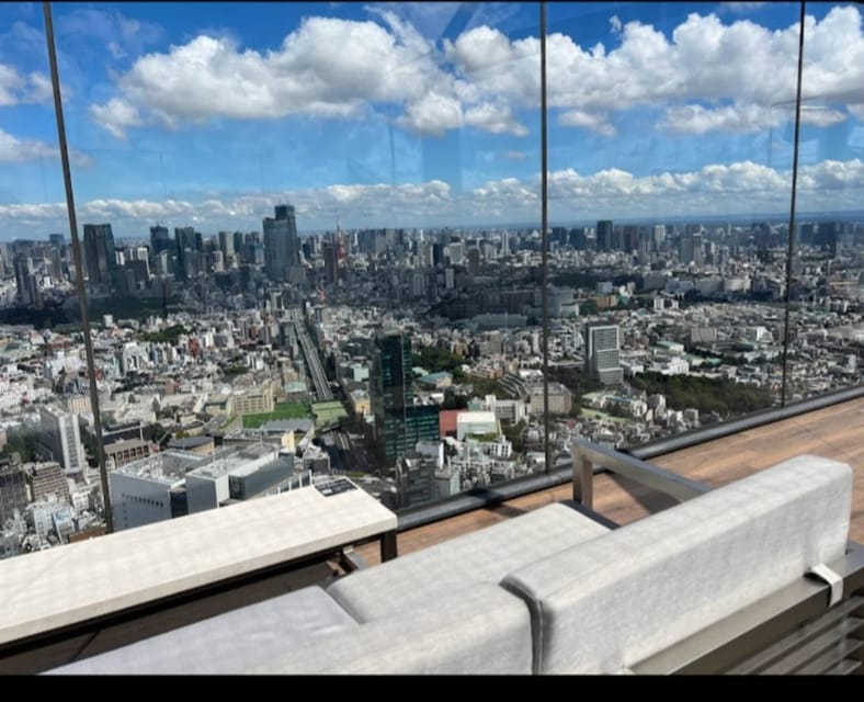 Tokyo: Private Customizable Day Tour With Chauffeur - Inclusions and Exclusions