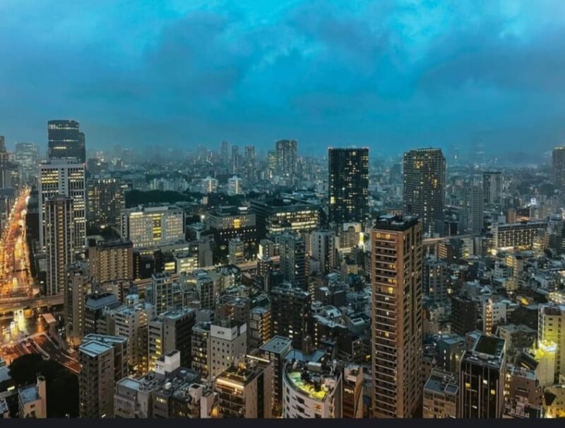 Tokyo: Private Customizable Day Tour With Chauffeur - Pricing and Booking