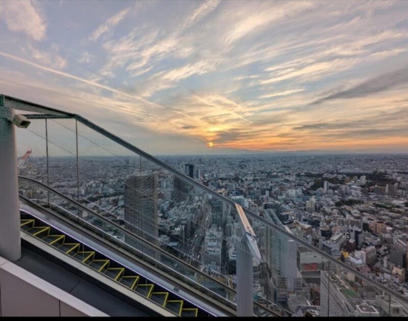 Tokyo: Private Customizable Day Tour With Chauffeur - Flexible Drop-off Options