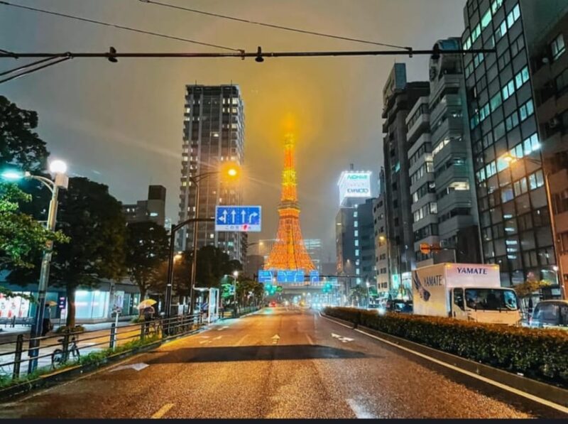 Tokyo: Private Customizable Day Tour With Chauffeur - Frequently Asked Questions