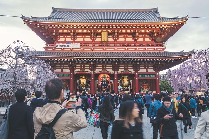 Tokyo Private Customizable Half Day Tour - Booking and Cancellation Policies