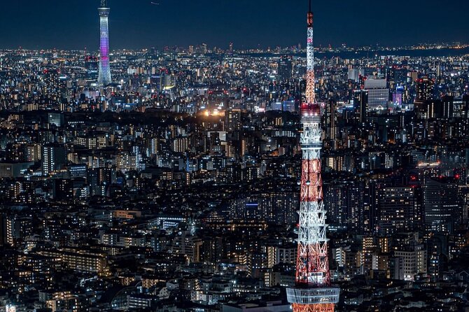 Tokyo Private Customizable One Day Private Trip With Guide - Common Questions