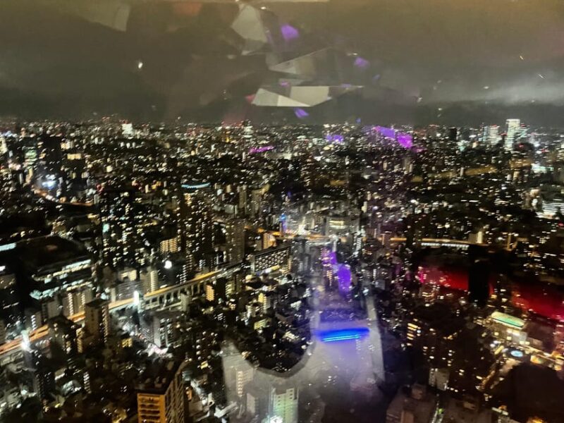 Tokyo Private Customizable One Day Tour With English Driver - Itinerary and Highlights