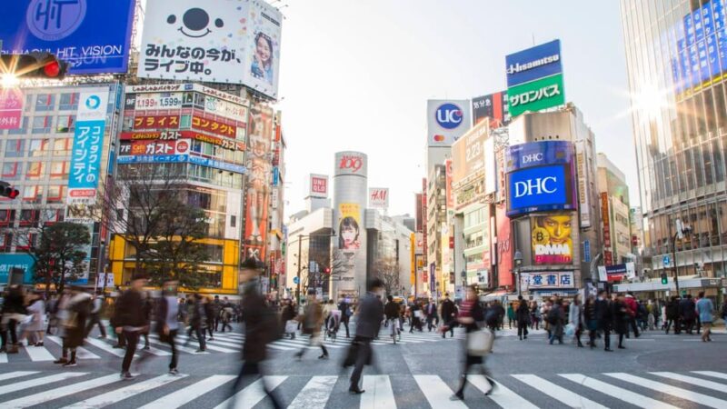 Tokyo Private Customizable One Day Tour With English Driver - Customizable Itinerary Options
