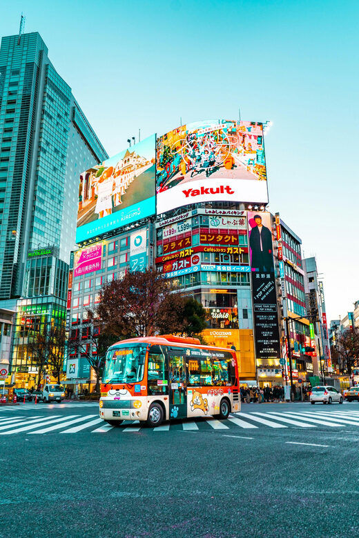 Tokyo: Private & Customizable Tour - All-in-One Experience - What to Expect: Logistics, Cost, and Practical Tips