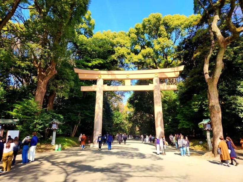Tokyo: Private & Customizable Tour - All-in-One Experience - FAQs